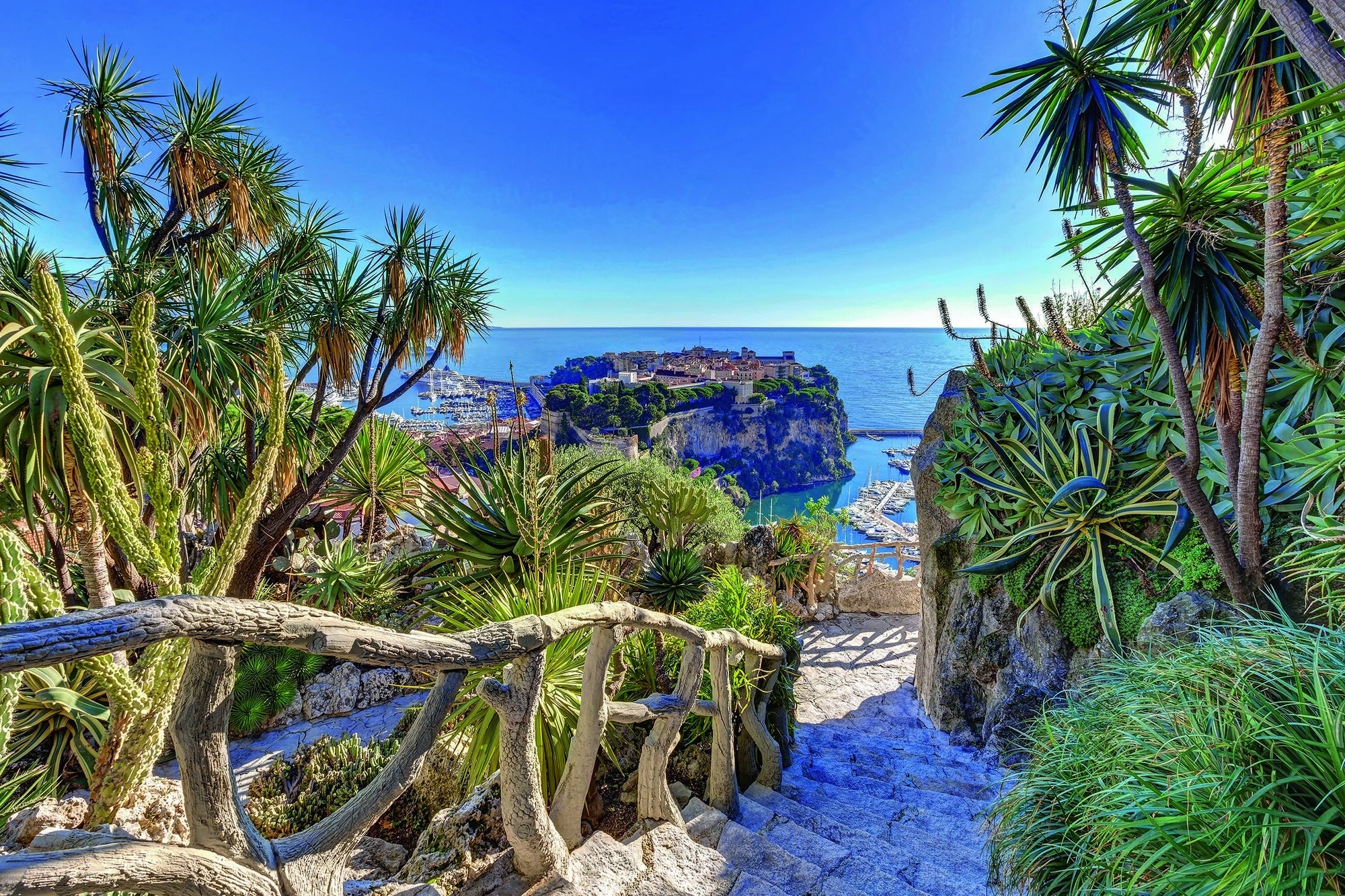Côte d’Azur : des jardins contemporains pour diversifier l’offre ...